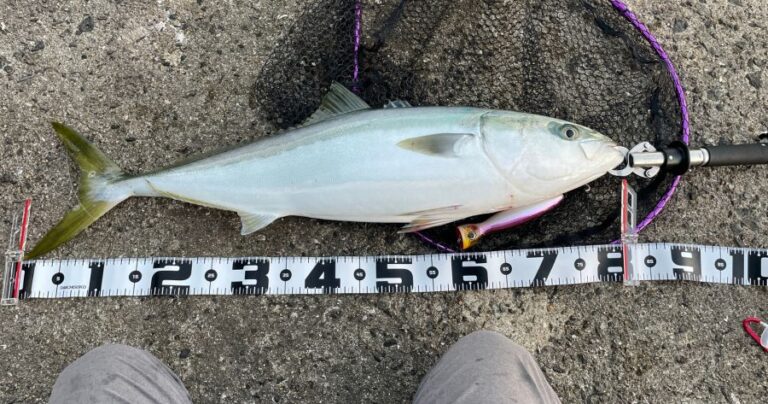 「PE2号のリーダー選び」どの太さ・長さがベスト？初心者必見のガイド